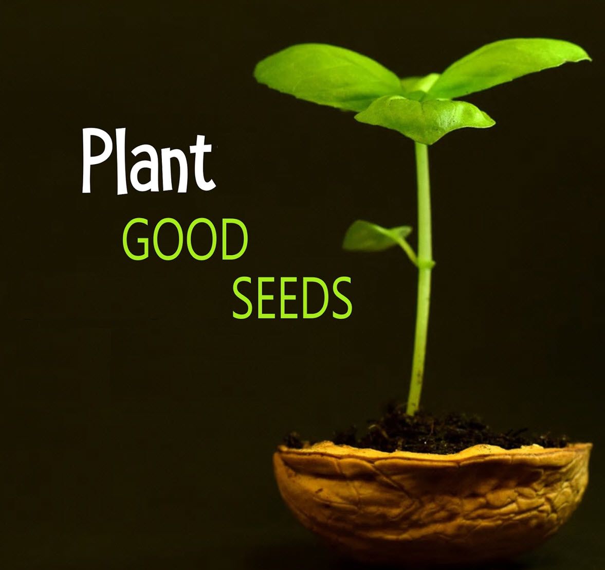 Planting the Seeds - Spiritual Twist